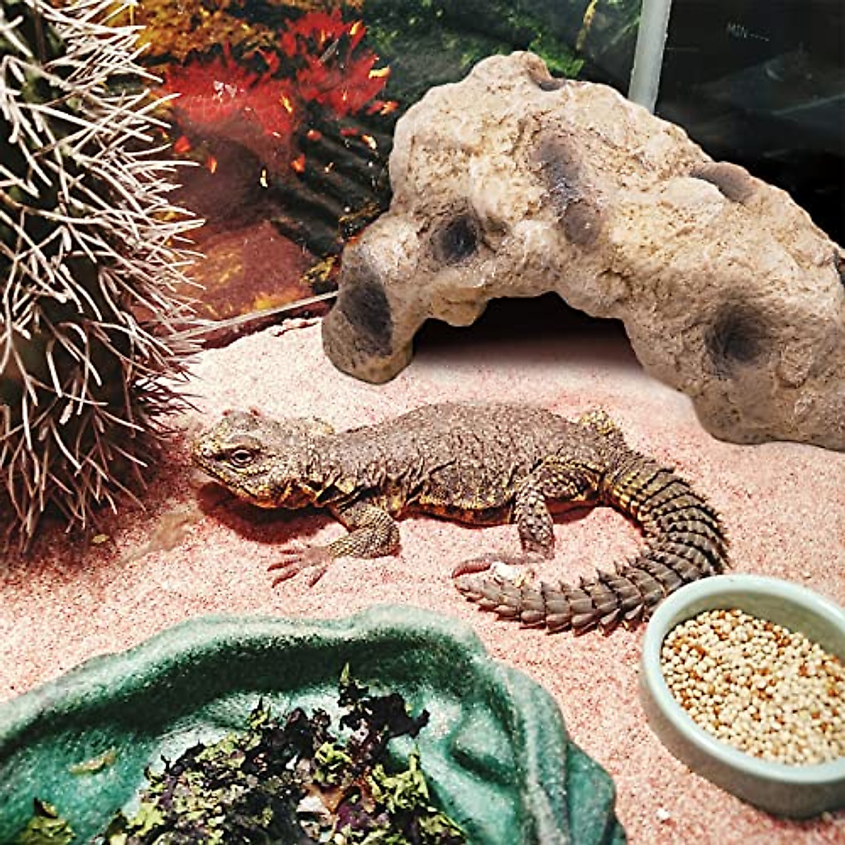 Flushbay Reptile Rock Hide Cave Resin Large Reptile Hideouts Habitat Cave Terrarium Decorations for Bearded Dragon Lizards Geckos Leopard Chameleons Frogs Turtles Snakes