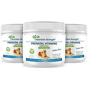 Nutrition Strength Prenatal Vitamins for Dogs to Support Development of Healthy Puppies, Promote Milk Production, with Folic Acid, Iron, Zinc, Iodine, B Vitamins for Pregnant Dogs, 90 Soft Chews