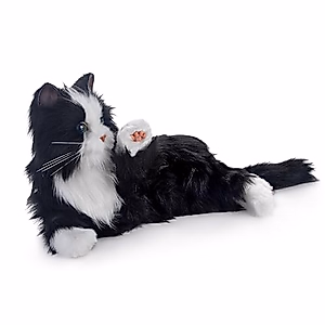 JOY FOR ALL Companion Pet for Seniors - Lifelike Animatronic Cat - Realistic Soft-Touch Fur & Purring - Therapy Stuffed Animal - Toy for Alzheimer's & Dementia - Tuxedo