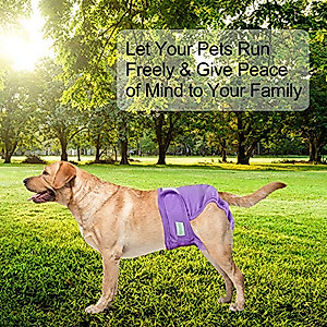 Wegreeco Washable Reusable Premium Dog Diapers, Medium, Bright Color, for Female Dog, Pack of 3