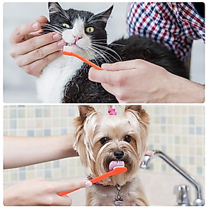 EASYA Double Headed Pet Dog Toothbrush for Small Dogs/Soft Bristles Puppy Long Handle Tooth Brush Dogs Teeth Cleaning/Bulk Toothbrushes Dental & Oral Care… (MIXED10)