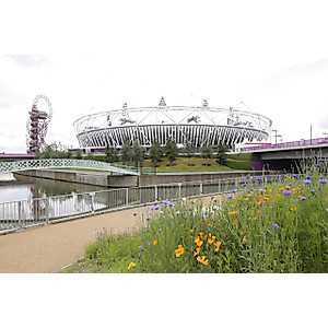 Games of the XXX Olympiad: Gymnastics Going for the Gold