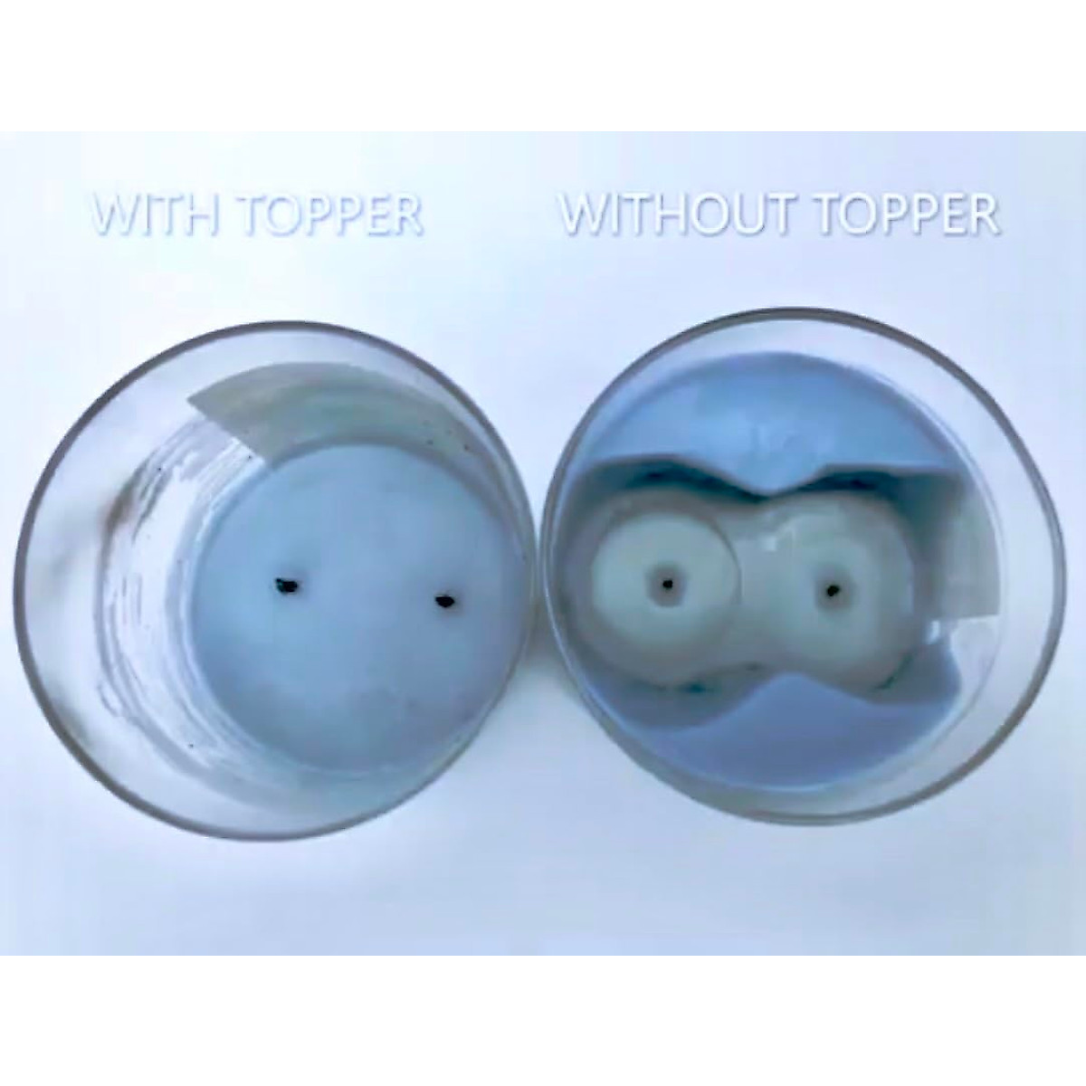 Peek Product Designs Adjustable Candle Topper for Jar Candles - Ocean Design with Coral Reef & Stingrays - Candle Cover Shade Sleeve Lid