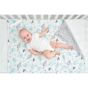 Baby Blanket for Boys Girls Soft Micro Fleece Kids Baby Blanket Throw Blanket with Dotted Backing Shower Gifts 40x30 Inches (Dinosaur)