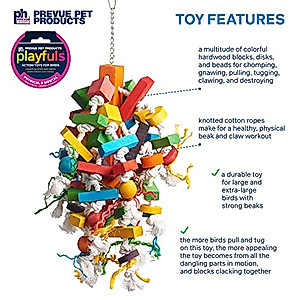 Prevue Pet Products Physical & Mental Bodacious Bites Wizard Bird Toy 60962