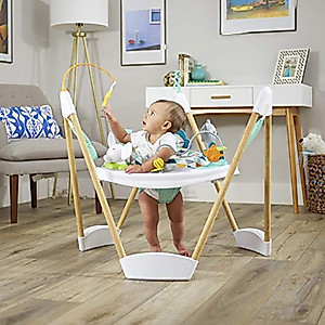 Evenflo Exersaucer Wood Frame Jumper, Woodland Wonder