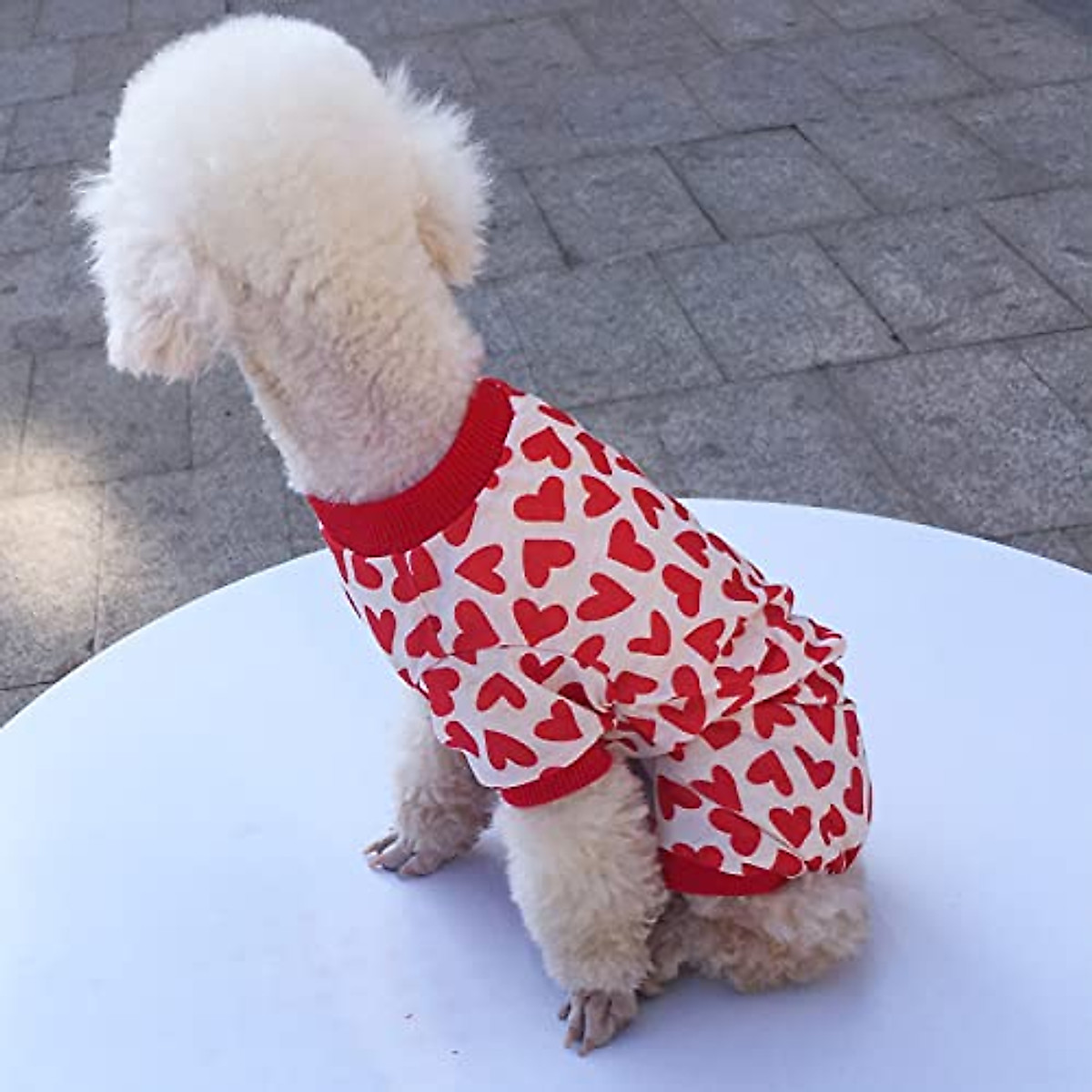 GUOHAN Summer Dog Clothes Pet Warm Four-Legged Pajamas Short Sleeve Pet Clothes Red S