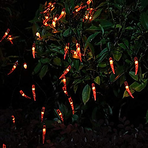 Amants01 Solar Chili String Lights,Red Chili Pepper String Lights 50 LEDs Solar String Lights for Home,Gardens,Park,Patios Decoration,Party,Wedding,Xmas,Chinese New Year.