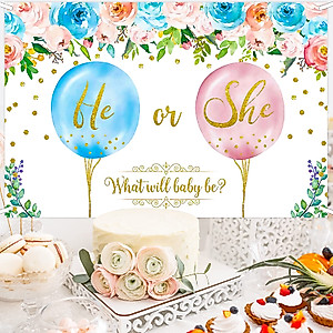 Gender Reveal Decorations Backdrop, Baby Gender Reveal Ideas, Party Supplies Banner Baby Shower Decorations Photography Background 70.8 x 47.2 inch