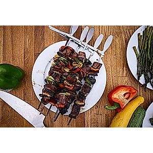 BBQ Dragon Domino Style Shish Kabob Skewers & Rack Set - Stainless Steel BBQ Skewers - Foldable Grill Rack with 6x14” Metal Skewers for Grilling -Flat Kabobs Skewers for Meat, Shrimp, Chicken, Veggie