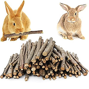 Youngever 300g Apple Sticks, Treat Food, Pet Chew Toys for Rabbits, Chinchillas, Guinea Pigs, Hamsters