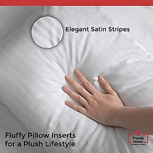 Trendy Home 12x20 Throw Pillow Insert with Extra Removable Satin Pillow Case, Cushion Sham Stuffer Lumbar Support Decorative Home Outdoor Pillow Filler (AquaBlue)