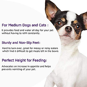 Y YHY Raised Dog Cat Bowls, Elevated Dog Cat Bowls 24oz, Ceramic Dog Cat Bowls for Food and Water, Pet Bowls for Cats and Small Dogs, Prevent Neck Pain, Anti Slip Feet, Grey