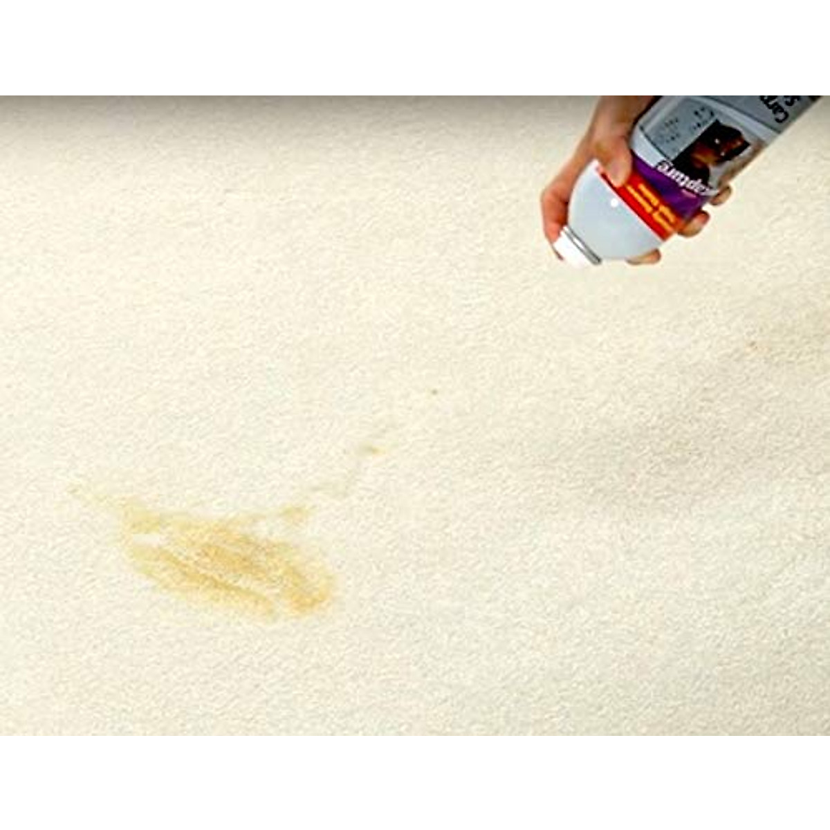 Capture Carpet Spot Eliminator - Stain Remover, Spray Cleaner - Clean Carpet, Furniture, Rug, Upholstery, Clothes, Fabric, Couch, Pet Stains - Home, Car, or Office - 16oz Portable Spray Can (2 Pack)