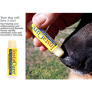 INSTACURE Original Nose Balm. Fast Relief for Cracked Dry & Sore Noses with Raw Manuka Honey Vitamin E Shea Butter Aloe Vera Oil. Heals Dog’s Dry Cracked Nose (1 Pack)