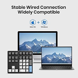 Kisnt Mechanical Number Pad, 34 Key Wired Hot Swappable Keypad, Gateron Switches White Backlit Numpad,USB Numeric Keypad with PBT Keycaps for Laptop, Mac, PC Desktop(Red Switch)