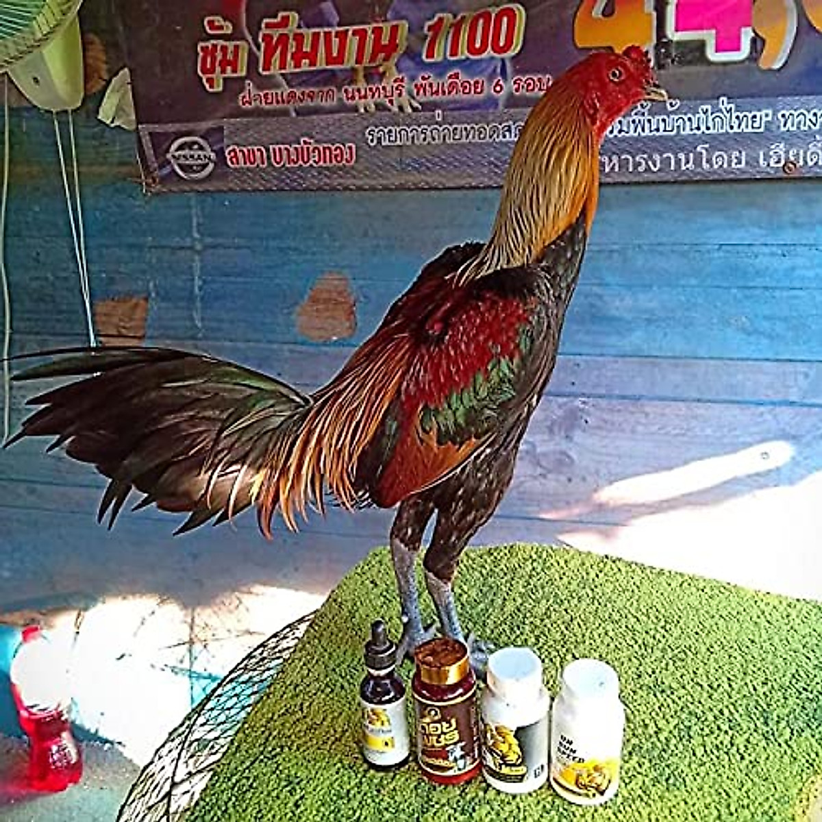HULX 80 Capsule, Rooster Booster UN Sun Speed Vitamins Health Chicken Supplement Super Increasing Energy, Stronger & More Power Healthy Formula Feed for Bird Poultry, Cock Fighting Gamecocks Hen Food
