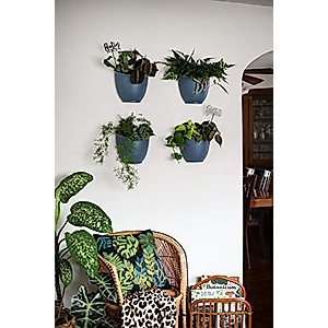 The HC Companies 8 Inch Garden Wall Planter - Plastic Hanging Plant Pot for Indoor Outdoor Flowers, Herbs, Slate Blue