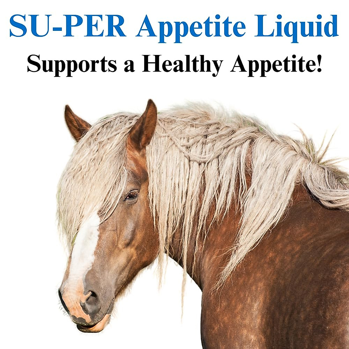 SU-PER Appetite Supplement for Horses - Equine Appetite Booster Liquid Feed Supplement - Vitamin Support for Healthy Appetite - 1 Quart, (2 Pack)