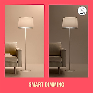 WiZ Smart Plug - Pack of 2 - Type B - Connects to Your Existing 2.4Ghz Wi-Fi - Control with Wiz Connected App - Works with Google Home, Alexa and Siri Shortcuts - No Hub Required