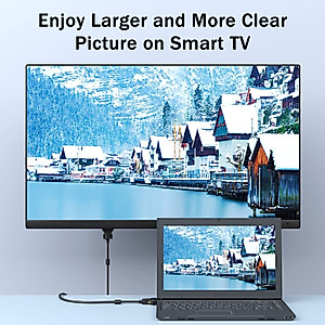 BENFEI VGA to VGA 6 Feet Cable with Ferrites