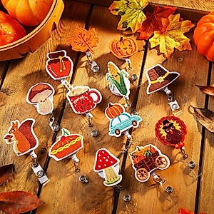 Zhanmai 48 Pcs Thanksgiving Badge Reels Felt Retractable Badge Reels with Clip Cute Squirrel Turkey Pumpkin Maple Leaves Holiday Themed Badge Holders Gift for Nurse Doctor Students School Office