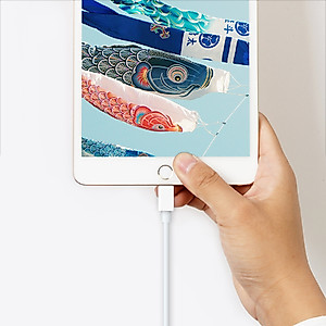 ZMI [3.3ft] Lightning Cable/iPhone Charge Cable Charger Cord, MFi for iPhone 8/8 Plus/X/XS/XS Max/XR/7/7 Plus/SE/6/6 Plus/6S/6S Plus/5/5C/5S, iPad/iPad Mini/iPad Air, iPod Touch/Nano