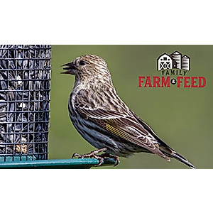 FAMILY FARM AND FEED | Four Seasons | Striped Sunflower Seed | Wild Bird Food | Backyard Songbird | 3 Pounds