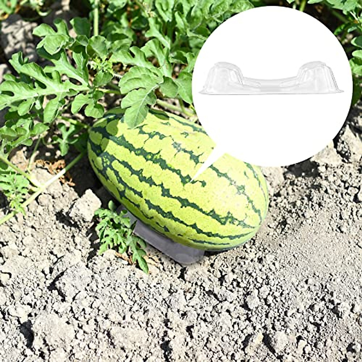 kemengsuer 100 Pieces Plastic Melon Cradle, Fruit & Vegetable Cradle Stands, Holds up to 20 lbs, Clear Plastic Melon Support Cradle for Keep Watermelon Off of The Ground(13.5 x 10.5cm/5.11 x 4.13inch)
