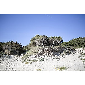 Tamron F1.8 VC 35mm USD Lens for Nikon - Black