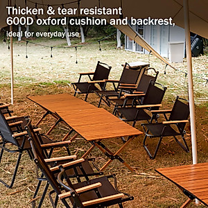 Lallisa 2 Pack Folding Camping Chairs, Portable Lightweight Low Lawn Chair with Thicken 600D Oxford Beach Camp Park Chairs Supports 253lbs Carbon Steel Armchairs for Hiking Fishing Picnic Concerts