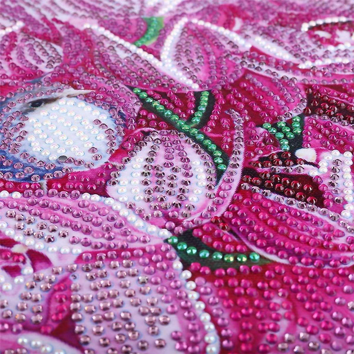 HAPPIShare Diamond Painting Kits for Adults – 5D DIY Diamond Number Kits with Full Drill – Crystal Rhinestone Diamond Embroidery Paintings Great for Home, Office, Wall Deco