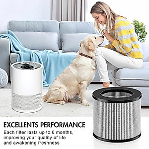 FMDZFL 2801 Air Filter Replacement Bundle Compatible with Bissell MyAir Personal Purifier Models # 2780A, 2780P, 2780B, 27809, 3329 (Pack of 4)