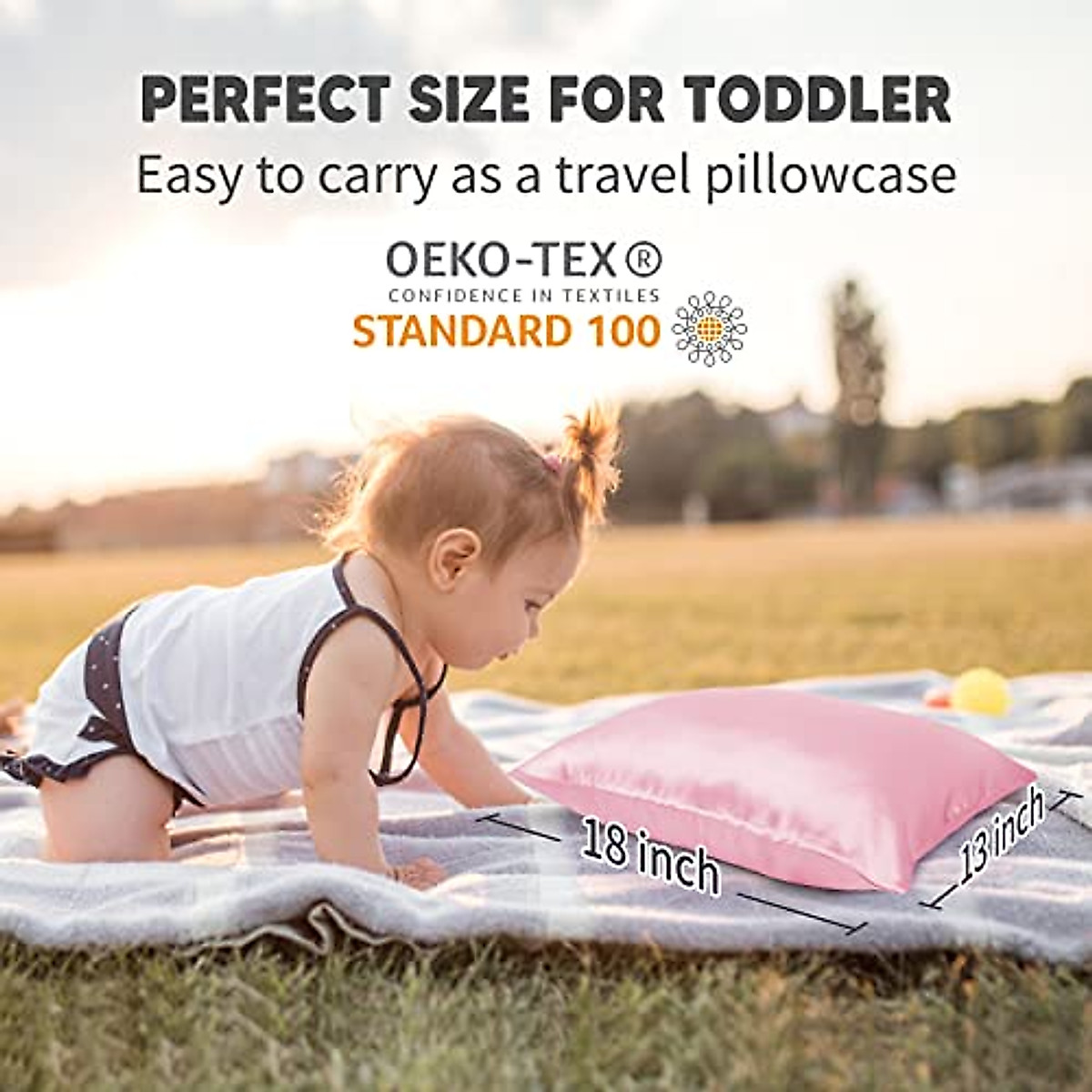 OLESILK 100% Mulberry Silk Toddler Pillowcase for Hair and Skin, Both Sides 19 Momme Pure Natural Silk Travel Pillow Cases with Hidden Zipper, 13"x 18", Pink