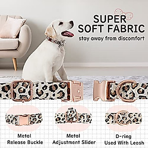 Dog Collar for Small Medium Large Dogs & Cats, Summer Popular Dog Collar with Personalized Print for Girl & Boy Dogs Adjustable Puppy Bow Tie Collar Attachment with Golden Metal Buckle