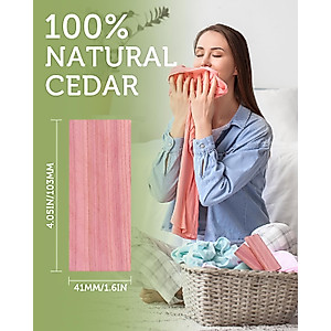 Aryiten Cedar Blocks for Clothes Storage, Aromatic Scent Cedar Wood Planks for Closets, Kitchen Storage and Drawers Freshener, 20 Pack