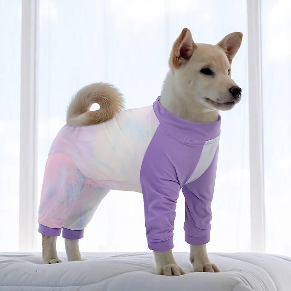MIGOHI Full Body Dog Recovery Suit,Breathable Recovery Suit for Female Male,Dog Onesie,Anti-Licking Dog Pajamas Suit,Dog Surgery Suit Female Spay,Surgical Recovery Suit for Medium Dogs,M,Purple