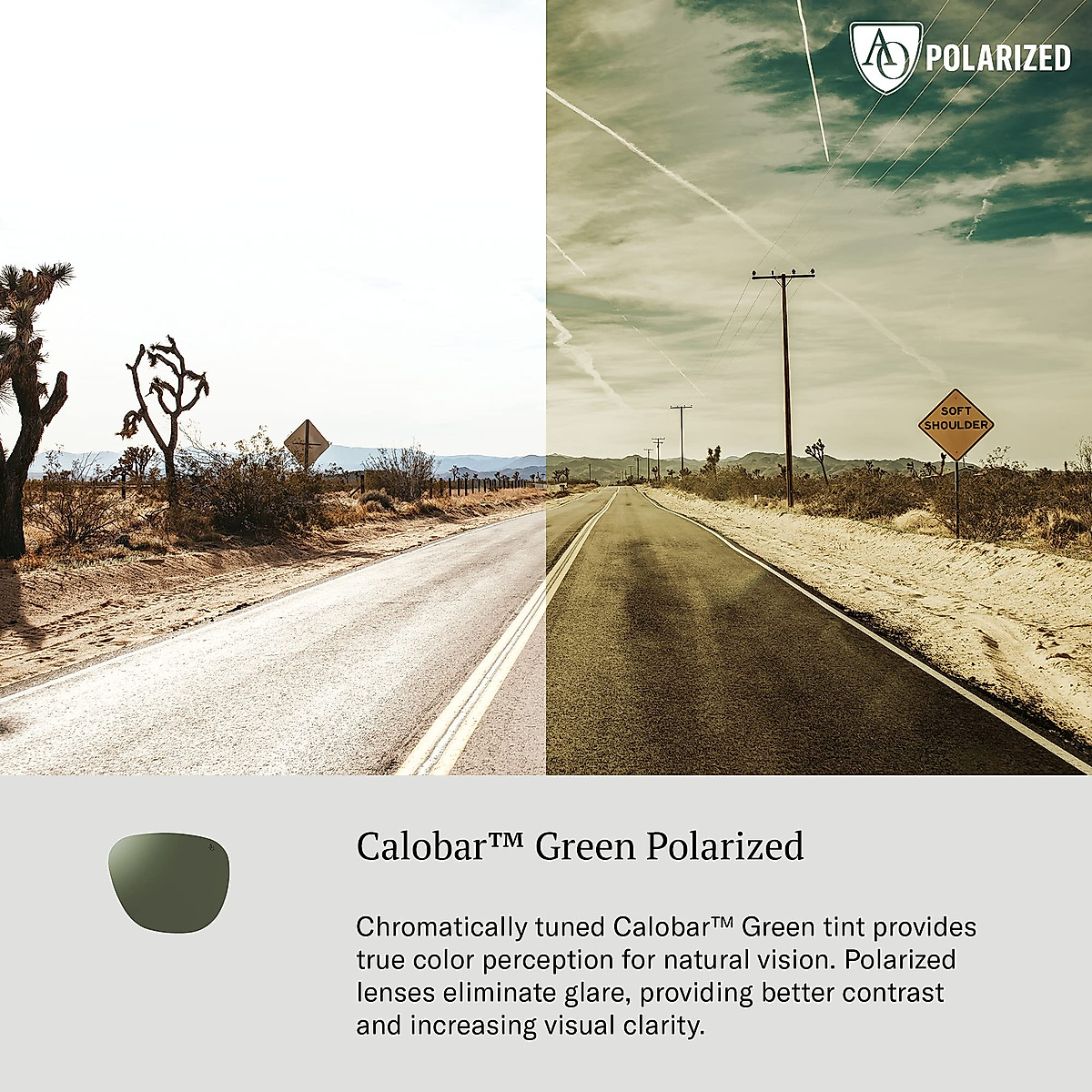 AO Saratoga Sunglasses - Tortoise - Calobar Green AOLite Nylon Lenses - Polarized - 52-19-145