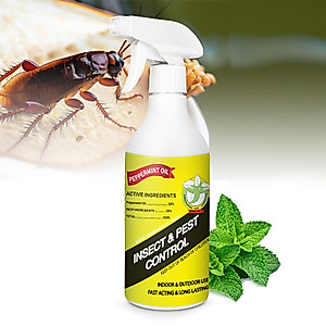 16 oz Peppermint Oil to Repel Mice and Rats, Rodent Repellent Peppermint Oil Spray for Bugs, Mouse, Roaches, Spiders, Ants, Flying Insects and More, Concentrated Formula for Powerful Protection