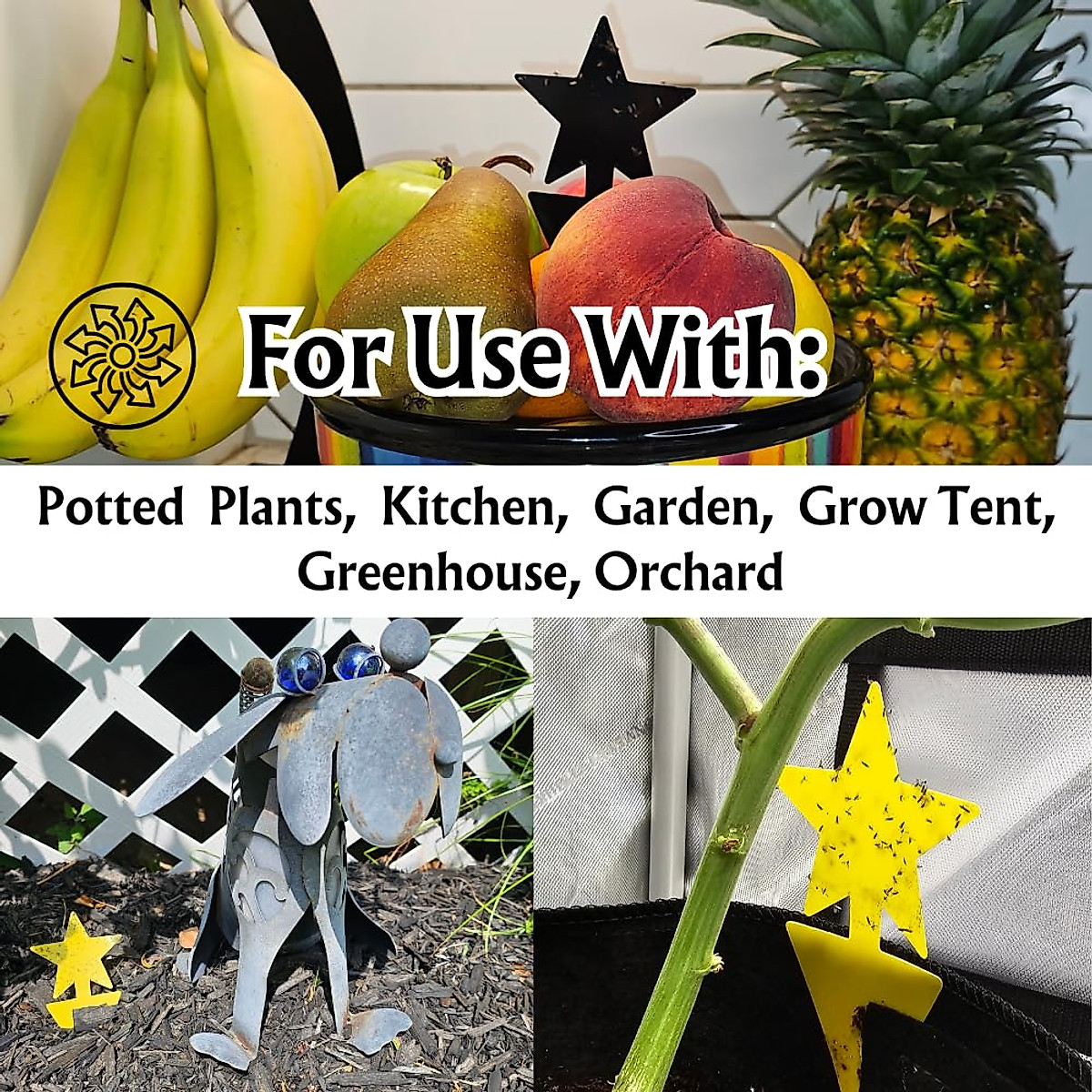Super Nova & Co. 30pk Sticky Fruit Fly Traps Star-Shaped Indoor Plants Outdoor Garden Double-Sided Adhesive Flying Gnat Insect Pest Management Catcher Non Toxic Odorless Waterproof UV-Resistant 3x5”