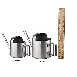 IMEEA Tiny Watering Can for Indoor Plants Bonsai Tree Stainless Steel Small Watering Can Succulents, 11oz/300ml