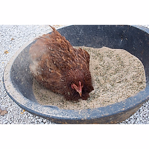 Pampered Chicken Mama Dust Bath with Non-GMO Herbs (5 pounds) - All Natural Poultry Supplies for Hens Who Love Bathing in Chicken Coops - (5 pounds)