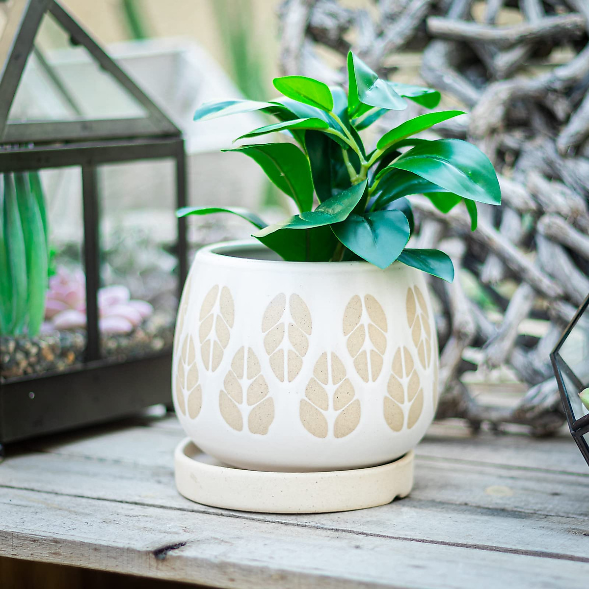 Chonsun Ceramic Planter with Saucer 6 Inch Plant Pots Indoor Oudoor Planter with Drainage Hole Flower Pots Succulent Plant Pots Mid-Century Ceramic Planter White
