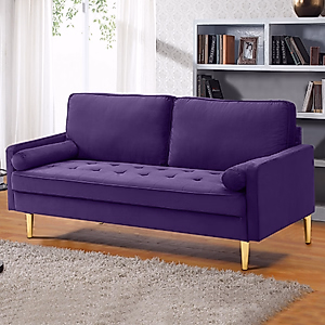 RXRRXY 67" Modern Velvet Loveseat Sofa Couch, Mid-Century Tufted Upholstered Small Love Seat Couch with 2 Pillows & 4 Golden Legs, 2-Seats Couches for Compact Space, Living Room, Apartment (Purple)