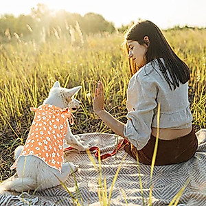 IECOii 3 Pack Dog Shirts, Sleeveless Dog Vest, Floral Dog Tank Top, Soft Breathable Spring Summer Shirts for Dogs, Dog T Shirt, Puppy Shirts, Dog Suspenders, Dog Clothes for Cats Puppies Small Dogs