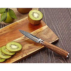 YOUSUNLONG Paring Knives 3.5 Inch - Japanese Hammered Damascus Steel Peeling Knife - Natural Walnut Wooden Handle