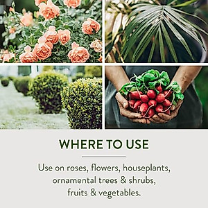 Garden Safe Brand Fungicide Concentrate, 20 Ounces, With Neem Oil Extract To Control Black Spot, Rust, Powdery Mildew, Aphids, Spider Mites, Whiteflies ,Houseplants, Fruits And Vegetables