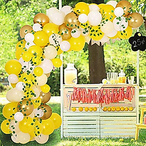 Sunflower Lemonade Party Balloon Garland Kit, Yellow Pastel Yellow Balloons Garland Kit Ideal for Sunflower Lemonade Stand Baby Bridal Shower Birthday Party Decorations