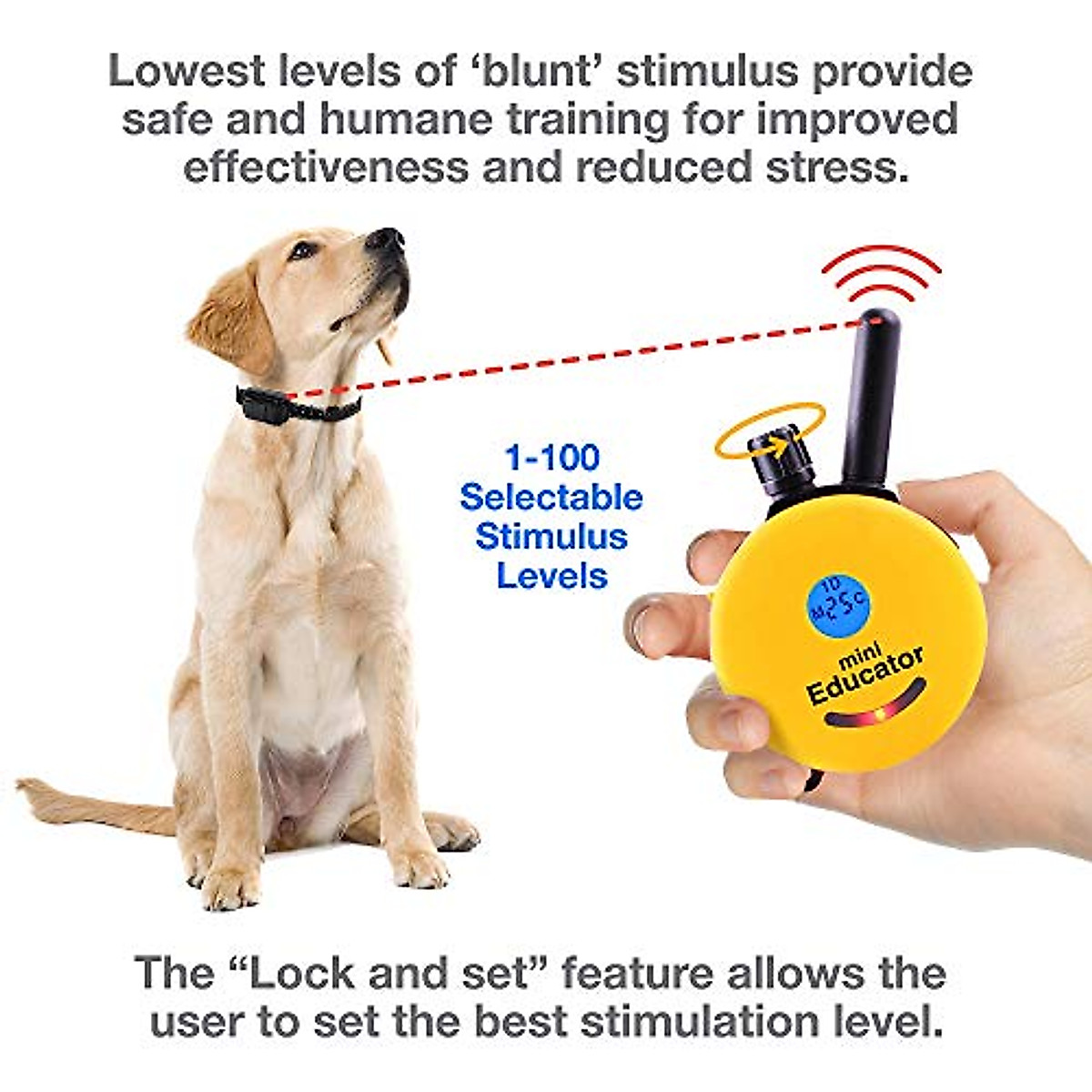 Educator E-Collar Humane Dog Training Collar with Remote, Features 100 Levels of Safe Stimulation, Tapping Sensation, Night Light, Waterproof, Rechargeable, 1/2 Mile 1 Dog, Yellow