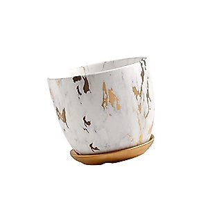 ARTIBETTER 1pc White Fairy Gardening Plant Orchid Succulent Plants Bonsai Planter Holder Cactus Modern Retro Pot: Supply Office Saucers Pots Marbling Vase Flowerpot Ceramic for Pot